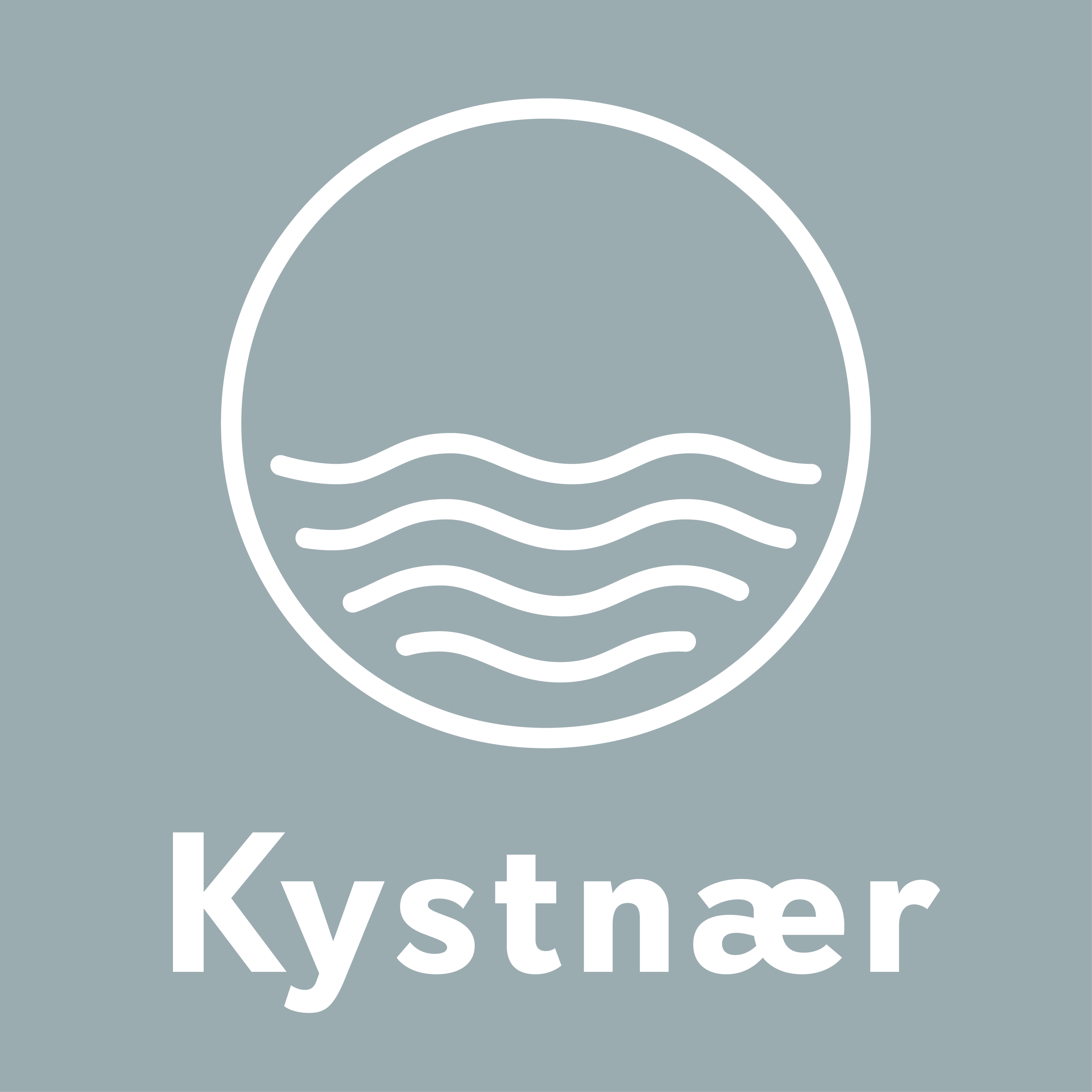shampoo bar. balsam bar. sæbe bar. fast form. bodyscrub – Kystnær